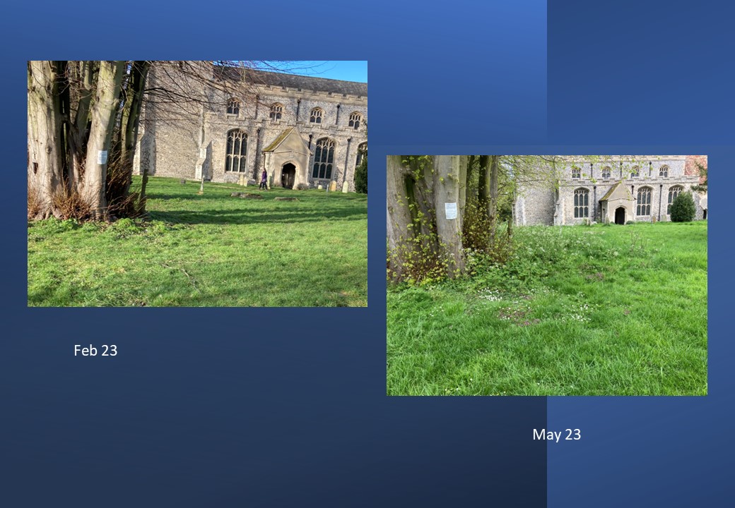 Progress – All Saints' Church, Gazeley