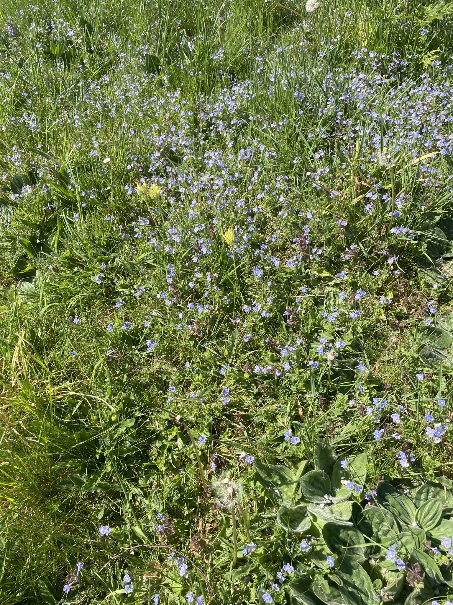 Update on the churchyard – All Saints' Church, Gazeley